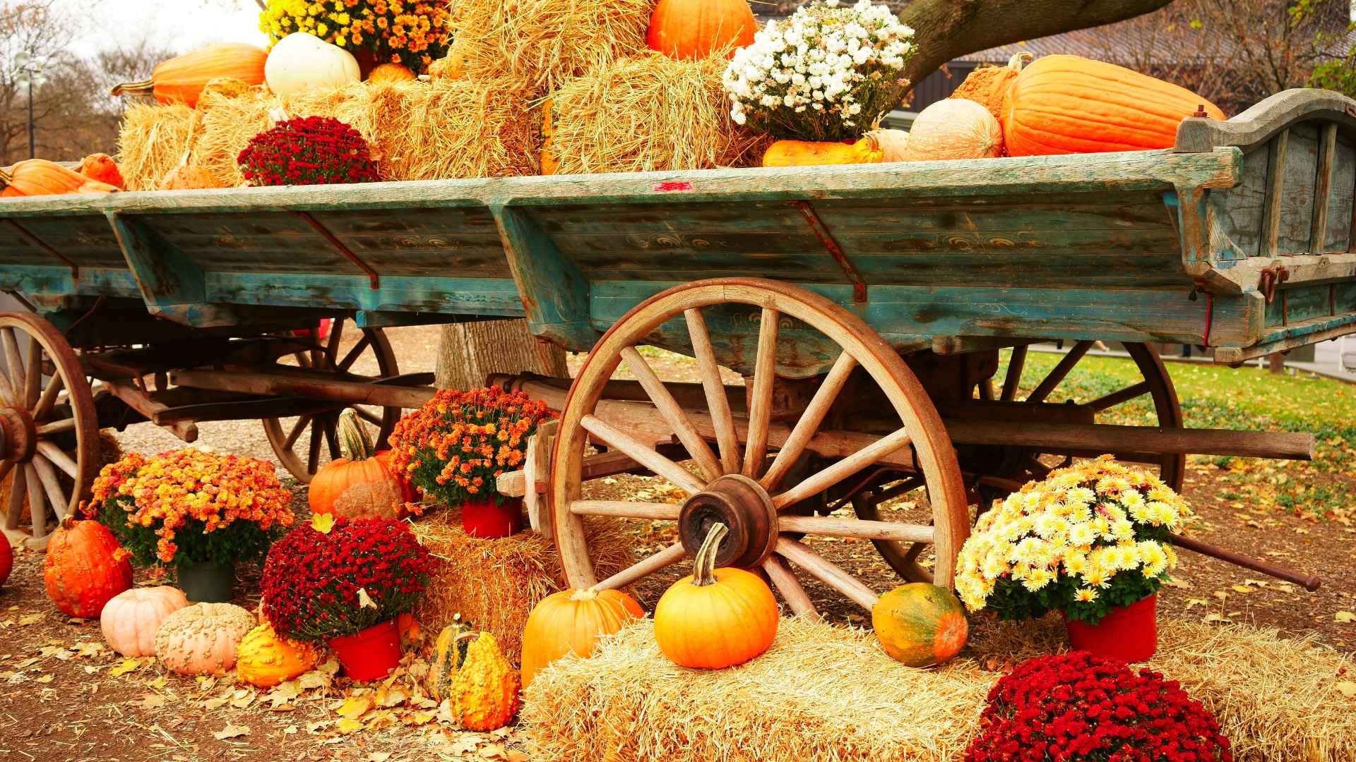 225 October Trivia Questions and Answers