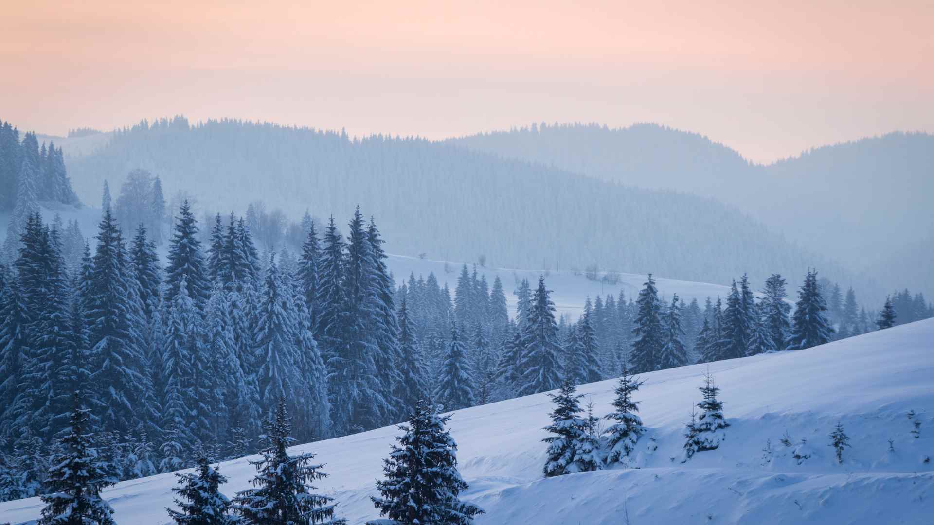 315 Winter Trivia Questions & Answers to Warm Up Your Brain!