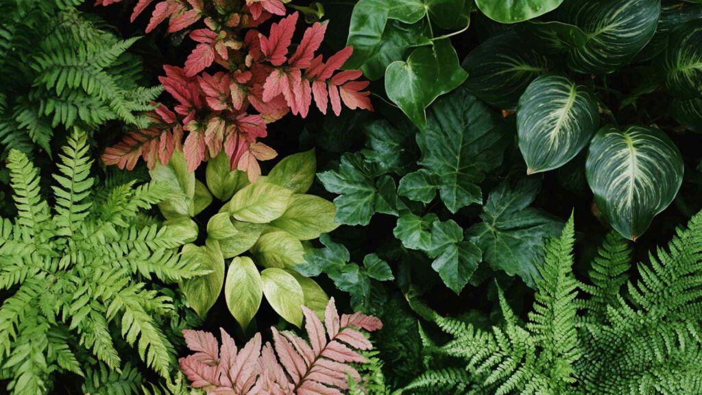 168 Plants Trivia Questions & Answers